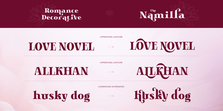 Namilla Font | Webfont & Desktop | MyFonts