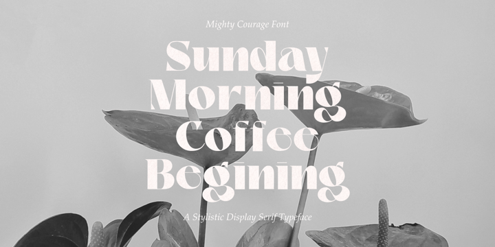 Mighty Courage Font | Webfont & Desktop | MyFonts