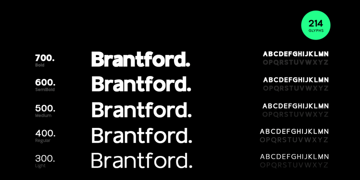 Brant Ford Font | Webfont & Desktop | MyFonts