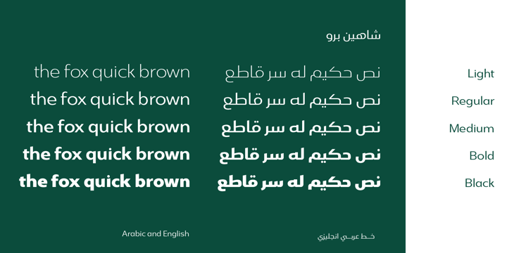 Shaheen pro Arabic Font | Webfont & Desktop | MyFonts