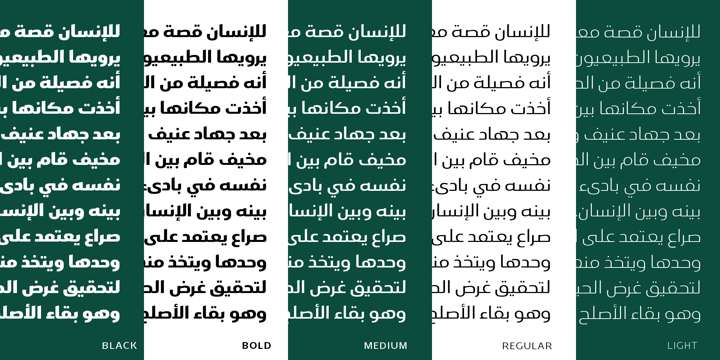 Shaheen pro Arabic Font | Webfont & Desktop | MyFonts