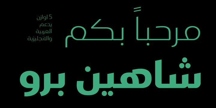 Shaheen pro Arabic Font | Webfont & Desktop | MyFonts