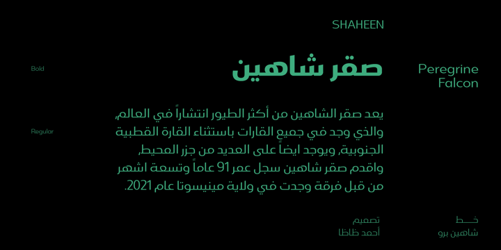 Shaheen pro Arabic Font | Webfont & Desktop | MyFonts