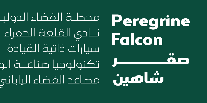 Shaheen pro Arabic Font | Webfont & Desktop | MyFonts
