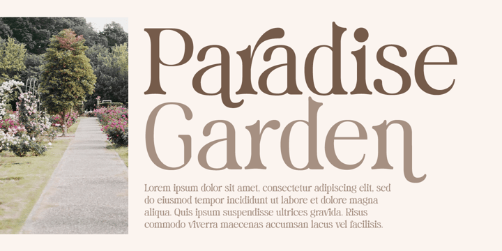 Gracious Bowing Font | Webfont & Desktop | MyFonts
