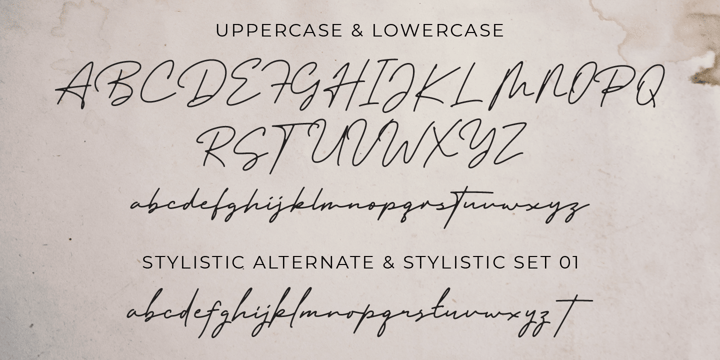 Timothy Signature Font | Webfont & Desktop | MyFonts