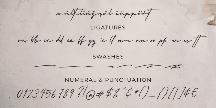 Timothy Signature Font | Webfont & Desktop | MyFonts