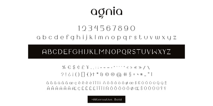 Agnia Font | Webfont & Desktop | MyFonts