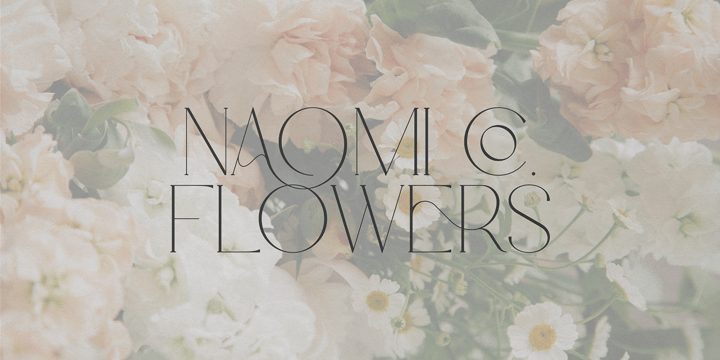 Hidden Gem Font | Webfont & Desktop | MyFonts