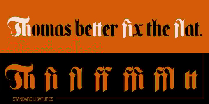 Enchanted Land DS Font | Webfont & Desktop | MyFonts