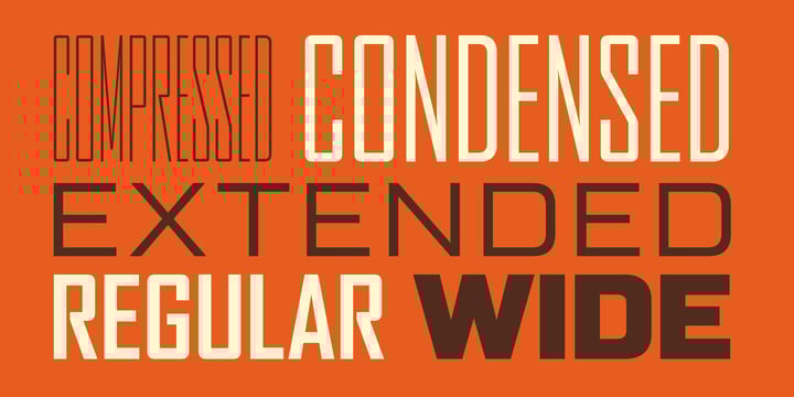 David Berlow | MyFonts