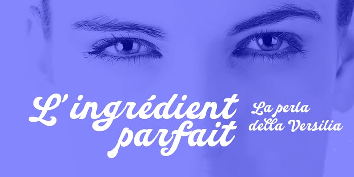 Cattini Script Font | Webfont & Desktop | MyFonts