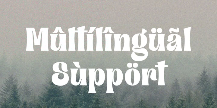 Payback Font | Webfont & Desktop | MyFonts