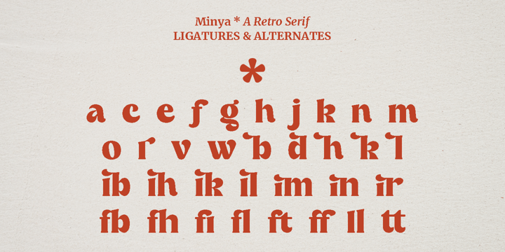 Minya Font | Webfont & Desktop | MyFonts