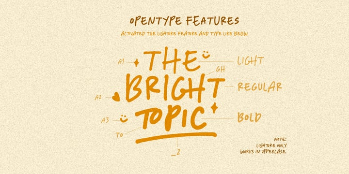 Bright Topic Font | Webfont & Desktop | MyFonts