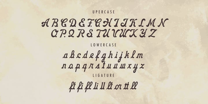 Strikers Script Font | Webfont & Desktop | MyFonts