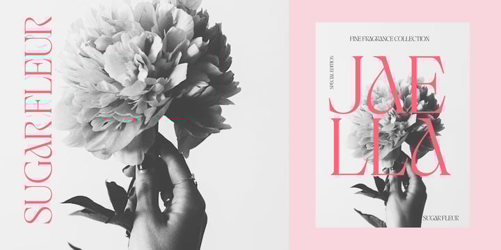 Jaella Font | Webfont & Desktop | MyFonts