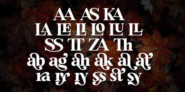 Roklin Font | Webfont & Desktop | MyFonts