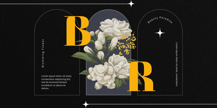 Abang Fashion Font | Webfont & Desktop | MyFonts