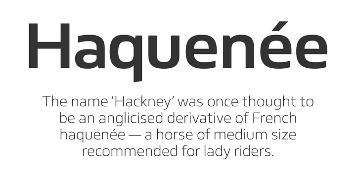 Fontsmith Modern Signage Bundle Font | Webfont & Desktop | MyFonts