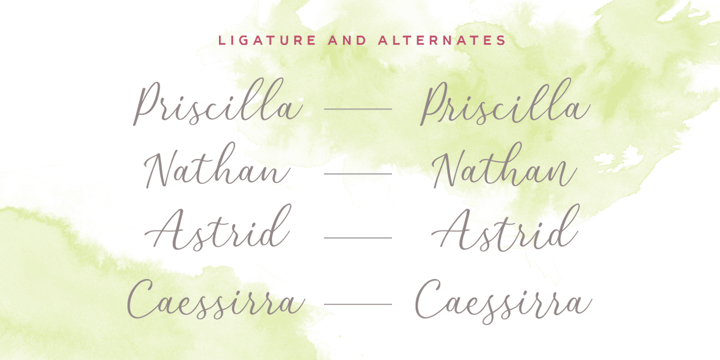 Challore Script Font | Webfont & Desktop | MyFonts