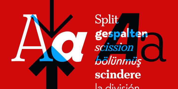 Fontsmith Split Bundle Font | Webfont & Desktop | MyFonts