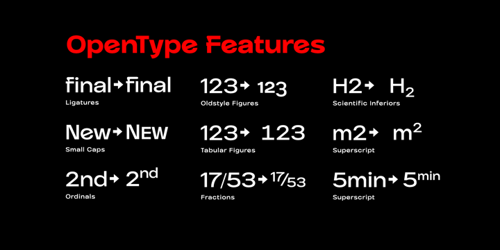 Frink Rio Font | Webfont & Desktop | MyFonts