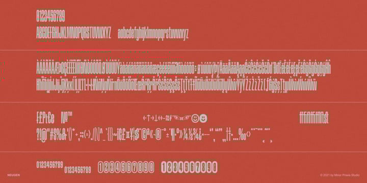 Neugen Font | Webfont & Desktop | MyFonts