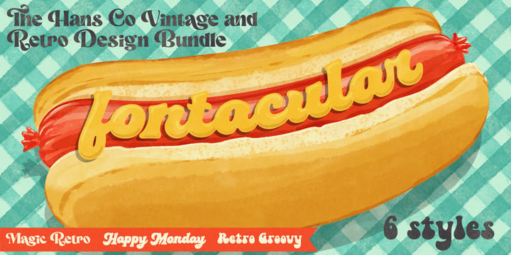 Hans Co Bundle Font | Webfont & Desktop | MyFonts