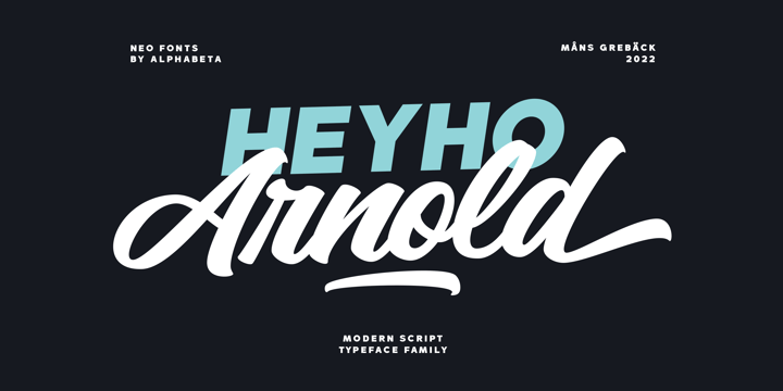 Arnolde Script Font | Webfont & Desktop | MyFonts