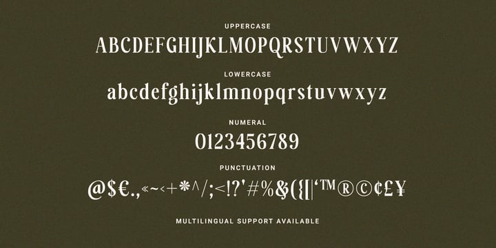 Native Stories Font | Webfont & Desktop | MyFonts