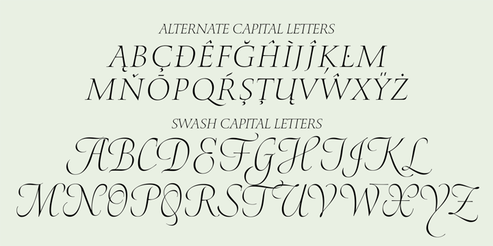 Humanista Font | Webfont & Desktop | MyFonts