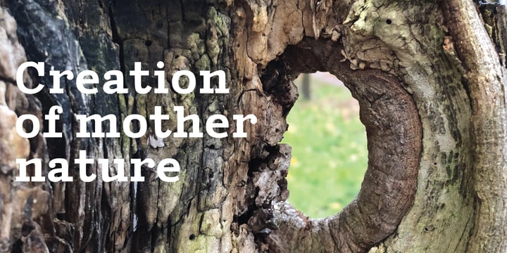 Typist Slab Prop Font | Webfont & Desktop | MyFonts