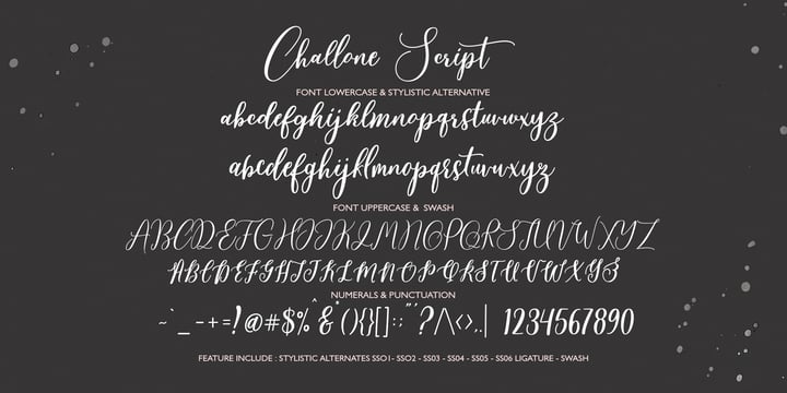 Shallone Script Font | Webfont & Desktop | MyFonts