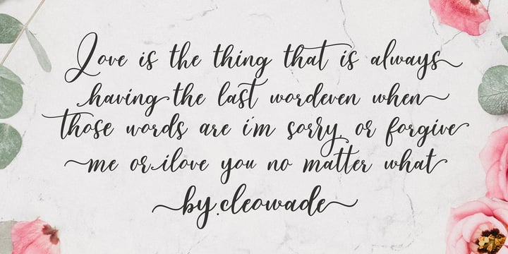 Shallone Script Font | Webfont & Desktop | MyFonts