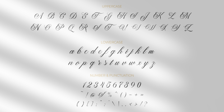 Paperlight Script Font | Webfont & Desktop | MyFonts