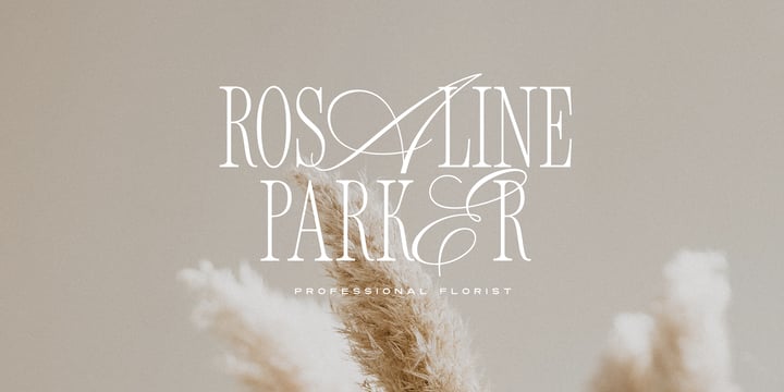 New Icon Font | Webfont & Desktop | MyFonts