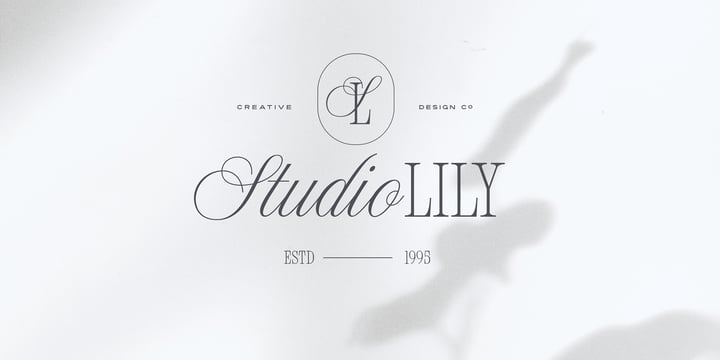 New Icon Font | Webfont & Desktop | MyFonts