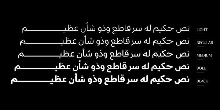 Ruqia Arabic Font | Webfont & Desktop | MyFonts