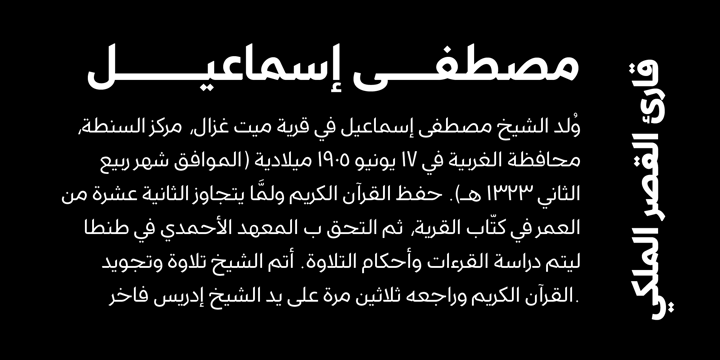 Ruqia Arabic Font | Webfont & Desktop | MyFonts