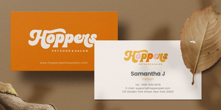 Hans Co Bundle Font | Webfont & Desktop | MyFonts