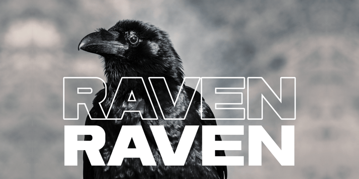 Nofex Font | Webfont & Desktop | MyFonts