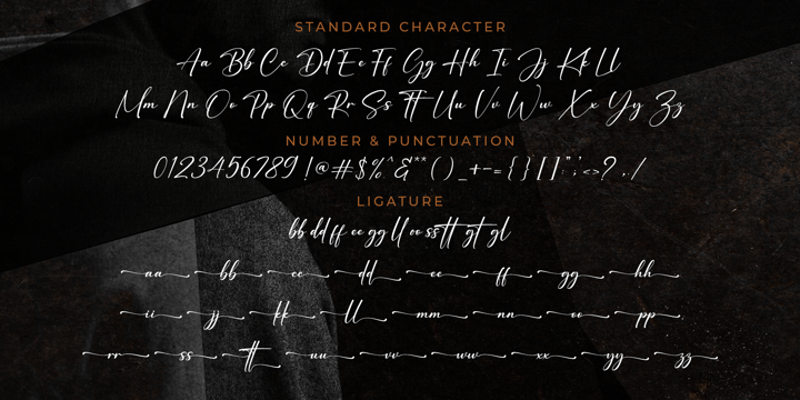 Auttera Signature Font | Webfont & Desktop | MyFonts