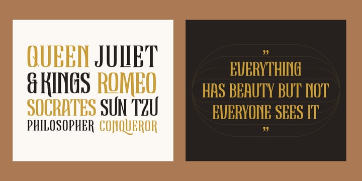 Senistia Font | Webfont & Desktop | MyFonts