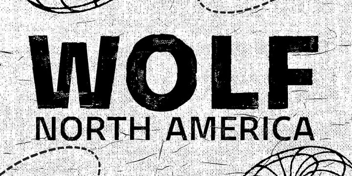 Butcher Font | Webfont & Desktop | MyFonts