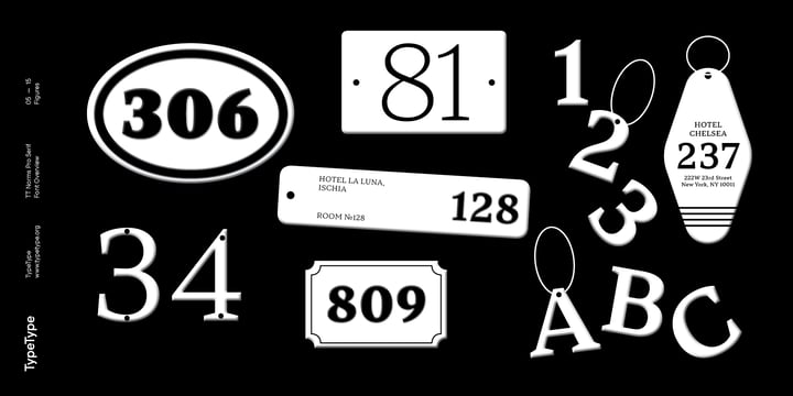 TT Norms Pro Serif Font | Webfont & Desktop | MyFonts