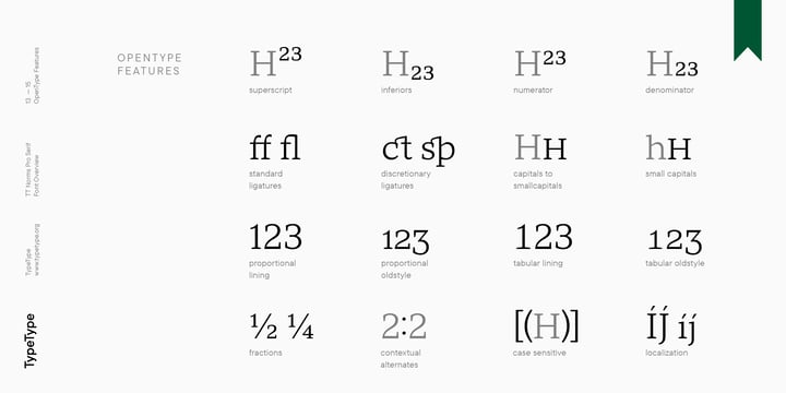 TT Norms Pro Serif Font | Webfont & Desktop | MyFonts