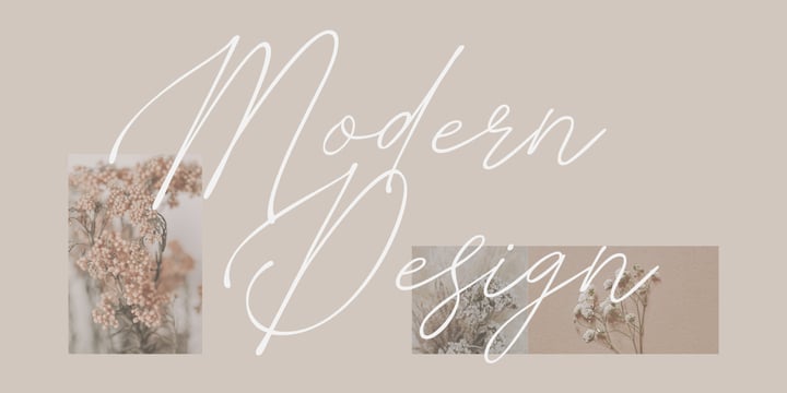 Adeptly Font | Webfont & Desktop | MyFonts