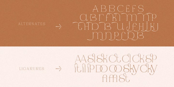 Jaque PS Font | Webfont & Desktop | MyFonts