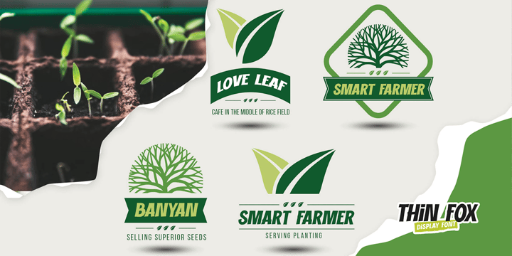 Thin Fox Font | Webfont & Desktop | MyFonts